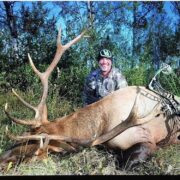 Elk Hunts in Alberta Canada - Red Willow Outfitters